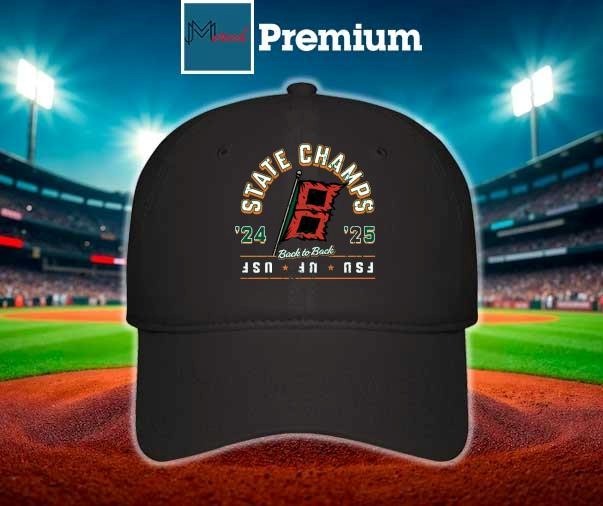 Official Miami Hurricanes Back to Back State Champions FSU, UF, USF T ...